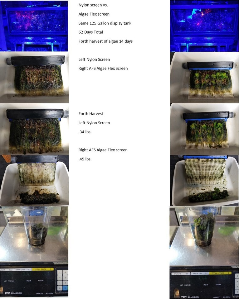 Algae Clean Scrubber Hang on Sump ACS-7-S-G5 with NEW Algae Flex Screen ...