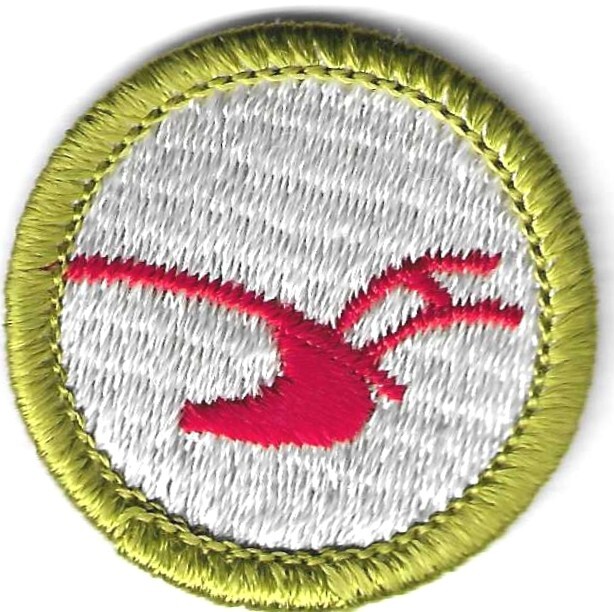 BSA AGRICULTURE MERIT BADGE 1975 Discontinued TYPE H PLASTIC BACK #1 ...