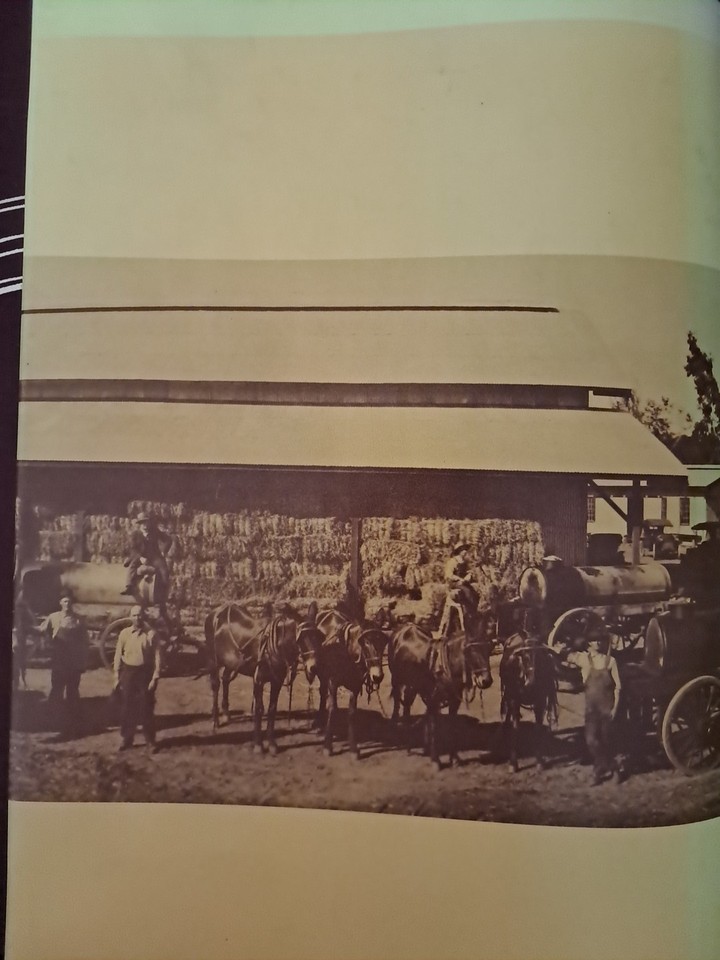 Of California's First Citrus Empire by Dean Hobbs Blanchard HC/DJ 1983 ...