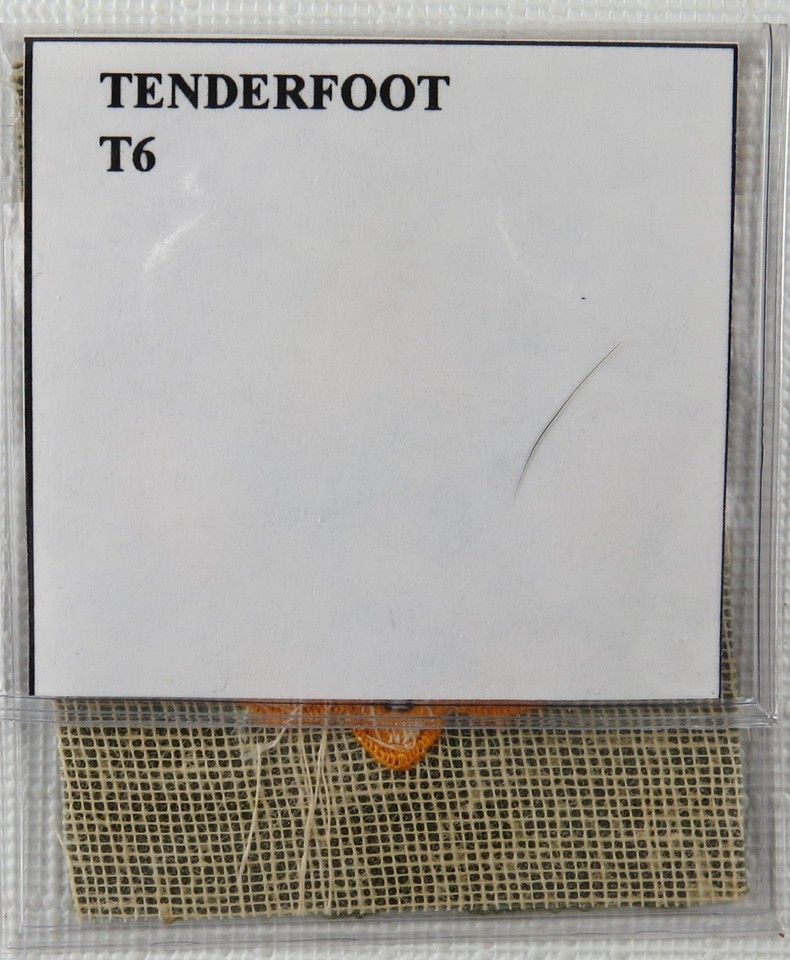1946-1954 Tenderfoot Rank Patch Tall Crown w/line Khaki Cloth | eBay