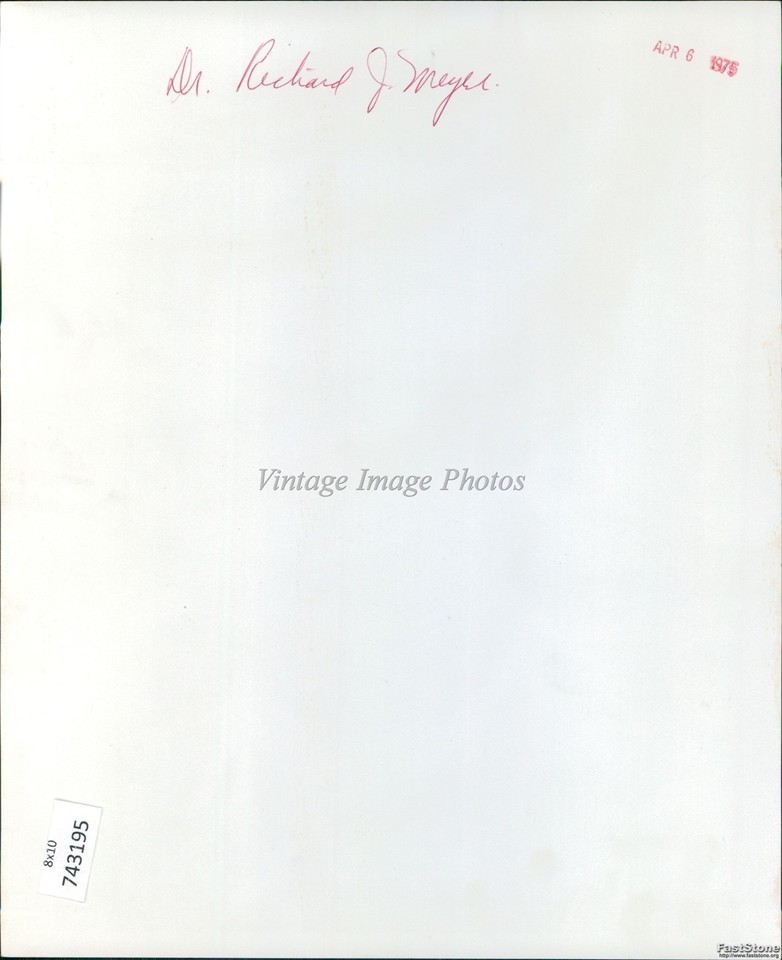 1975 Richard Meyer Portrait Man Beard Curly Hair Photo 8X10 | eBay