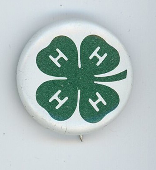 Vintage 4-H 1" Round Promotional Button Pin | eBay
