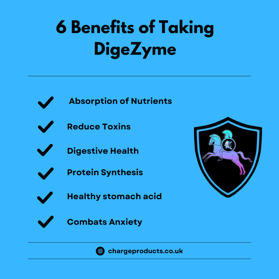 Digestive Enzymes DigeZyme 50mg Tablets Digestion Supplement Reduce ...