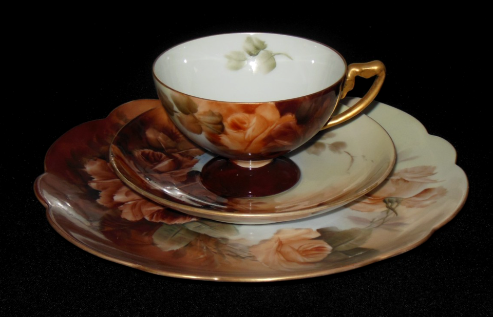 Rosenthal Bavaria Teacup Saucer Luncheon Plate Painted Brown Roses ...