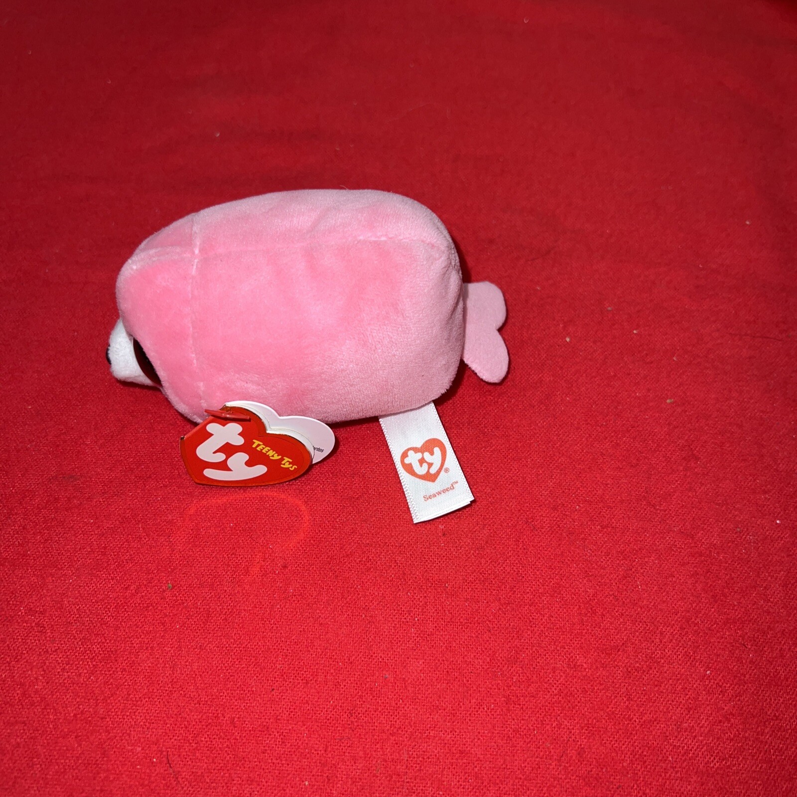 Ty Beanie Boos Teeny Tys - SEAWEED the Seal - 4 Inch (Stackable Plush ...