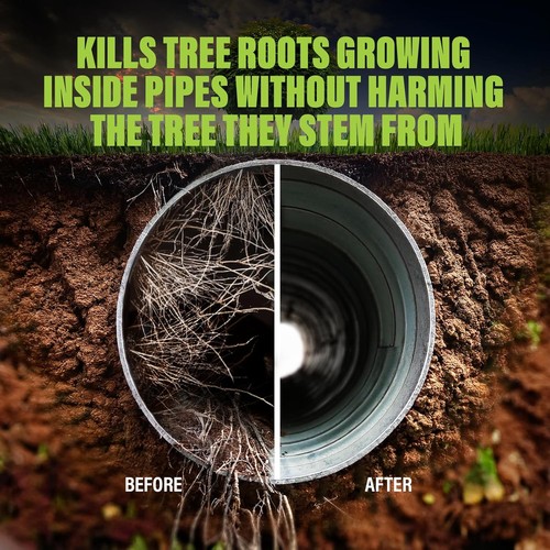 FOAMING Root Killer 10Lb Kills Tree Roots in Pipes & Sewer Line Drain ...