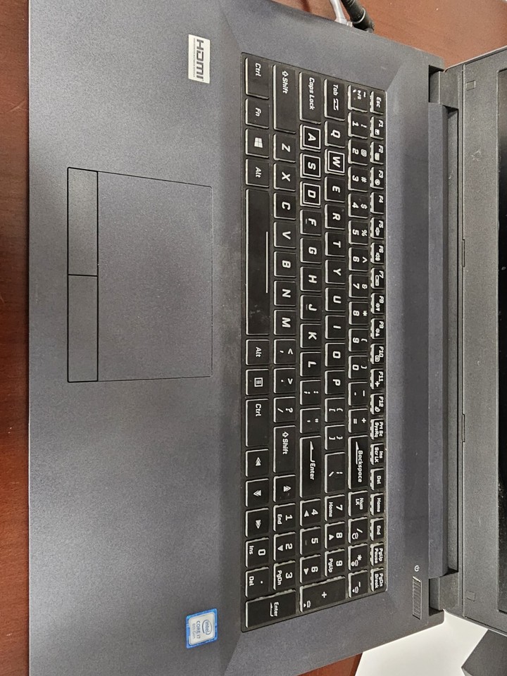 Sager Gaming Laptop I7 8750H, 16GB DDR4, SSD 256Gb + Hdd 1Tb 17.3" Full ...