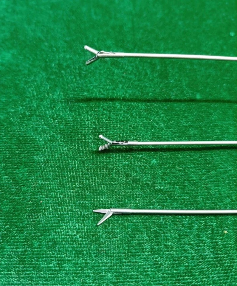 Hysteroscopy Semi Rigid Alligator/ Scissor/ Biopsy 5FR 40cm Instruments ...