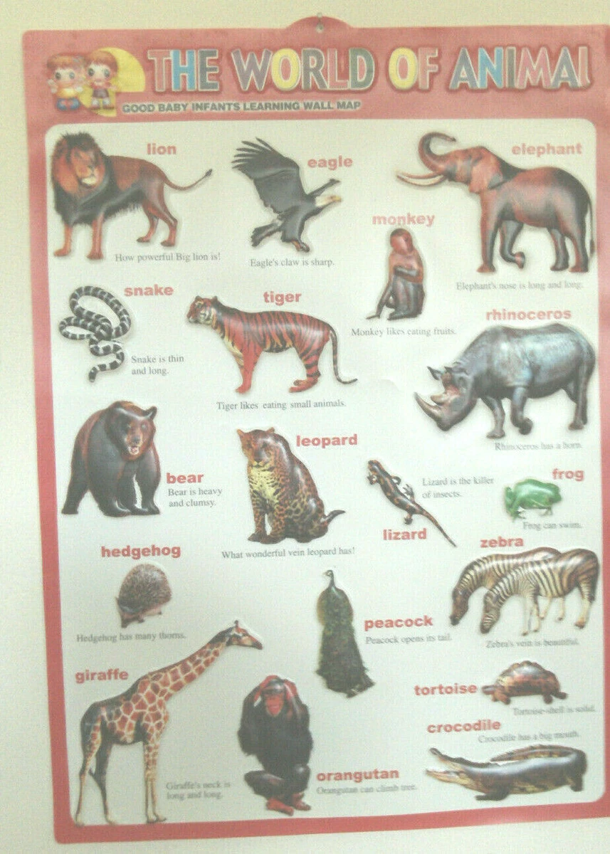 Biggest Animals In The World Chart