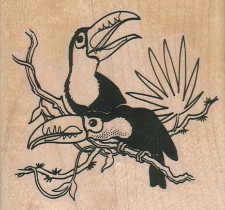 Two Toucans On Branch 3 1/4 x 3" Rubber Stamp, Bird Stamp, Toucans ...