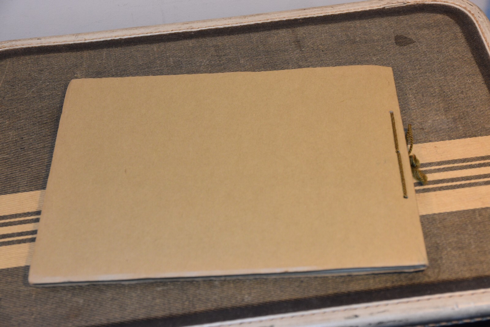 1920s YELLOWSTONE PARK Asahel Curtis Souvenir Photo Booklet HAND ...