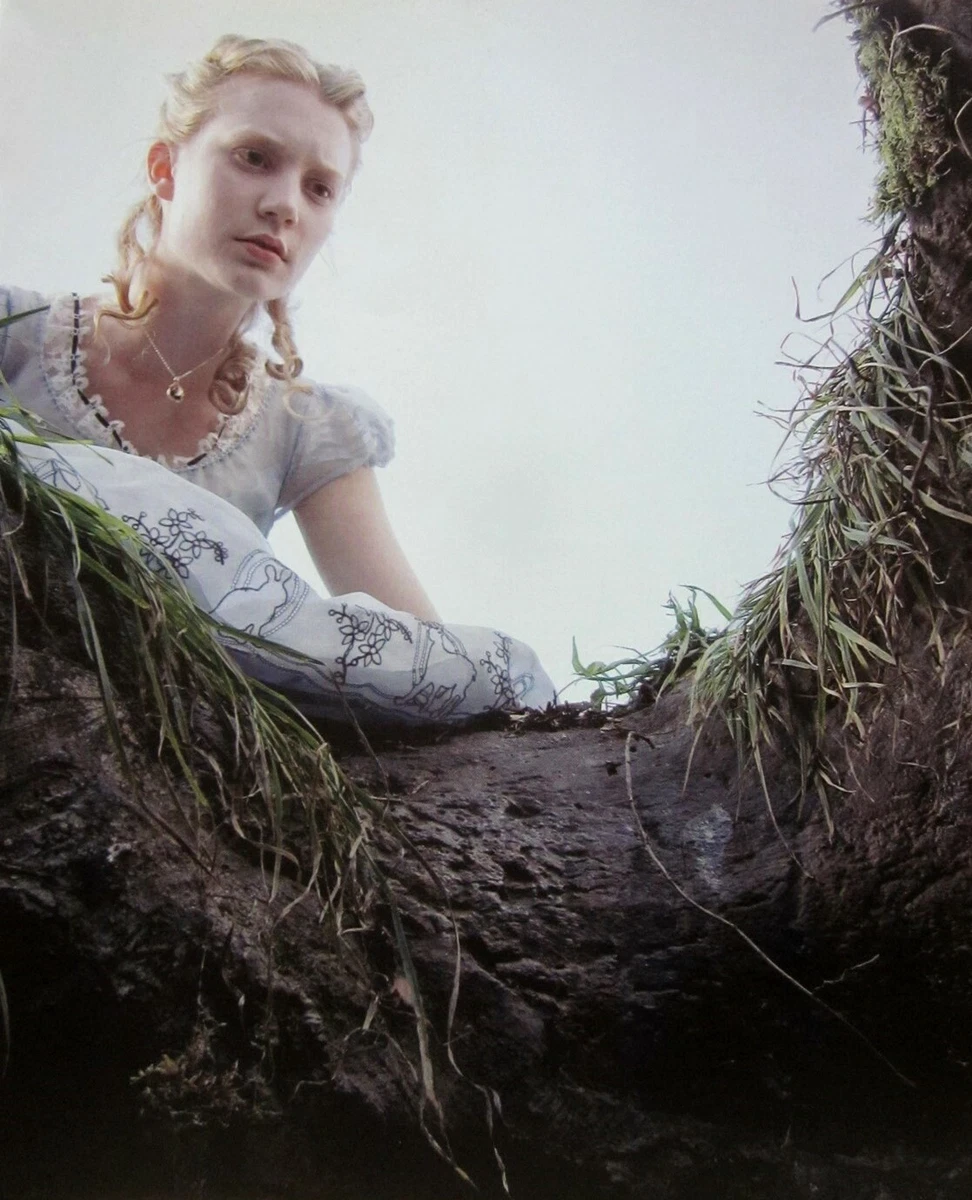 Alice In Wonderland Rabbit Hole Tim Burton