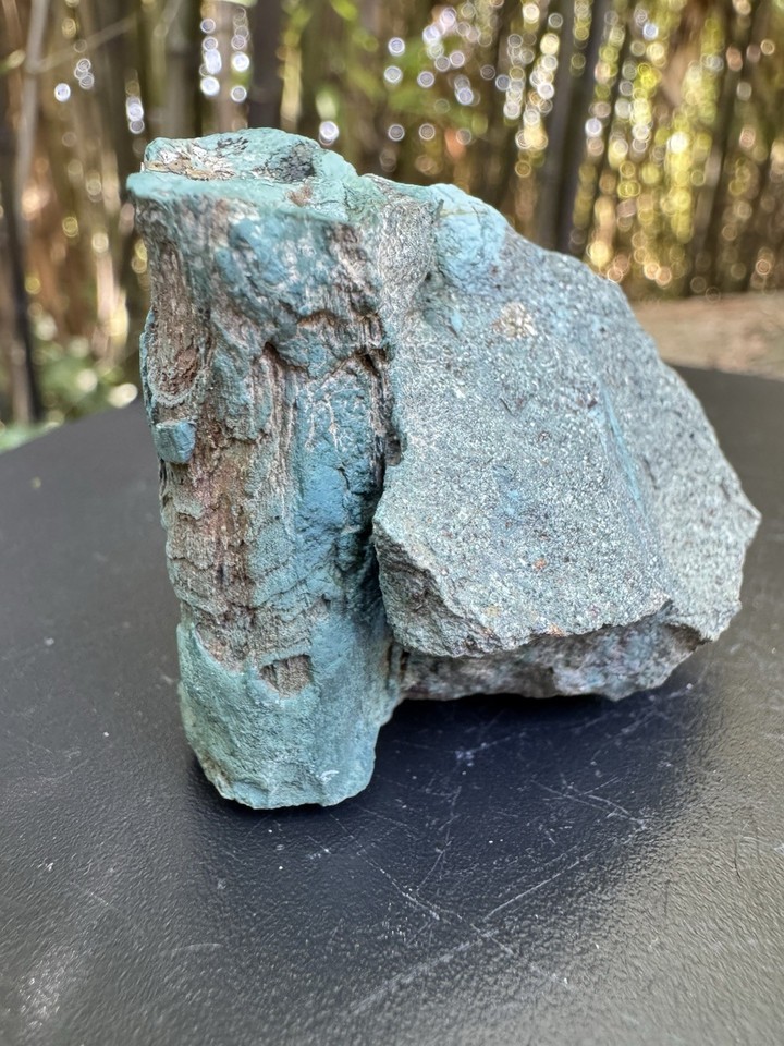 Rare Green Hampton Butte Petrified Mineralized Limb cast with Matrix | eBay