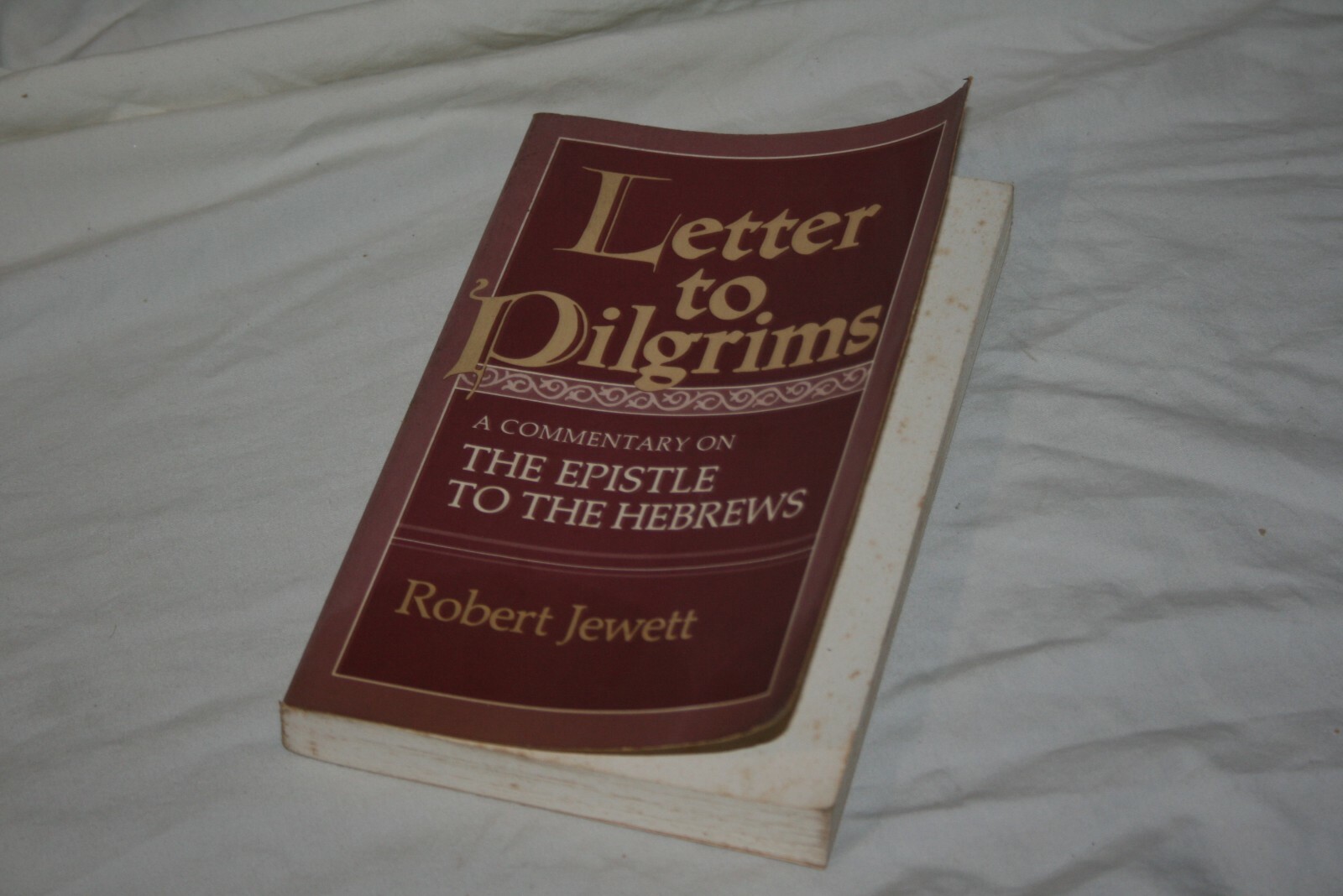 Letter to Pilgrims by Robert Jewett (1981, Paperback) 9780829804256| eBay