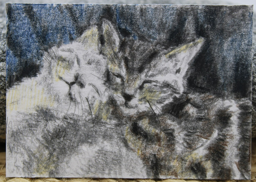 ACEO Original Artwork Cat Art ~Kitten~ Graphite & color pencil by Rockn ...
