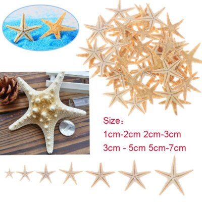 5-100Pcs Mini Natural Sea Stars Starfish Craft Decoration Beach Cottage ...
