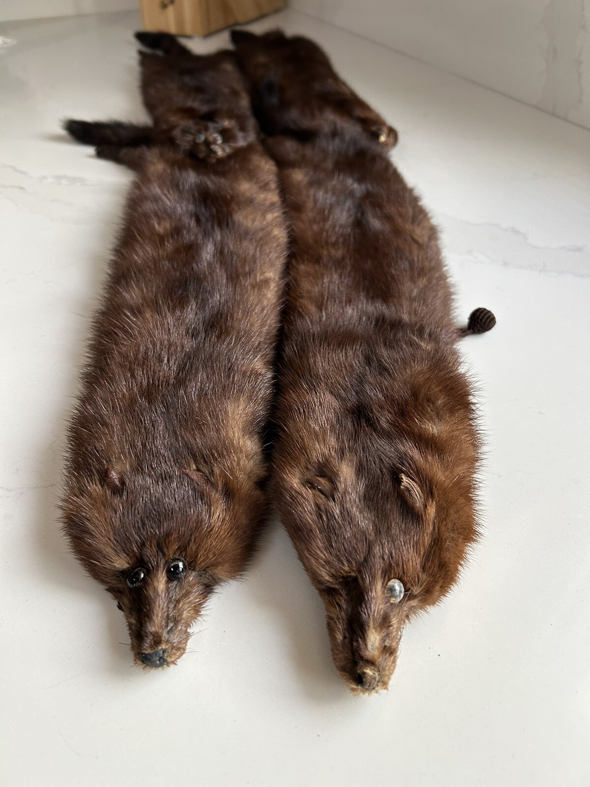 VINTAGE FOX STOLE 4 PELTS MARSHALL FIELDS - Gem