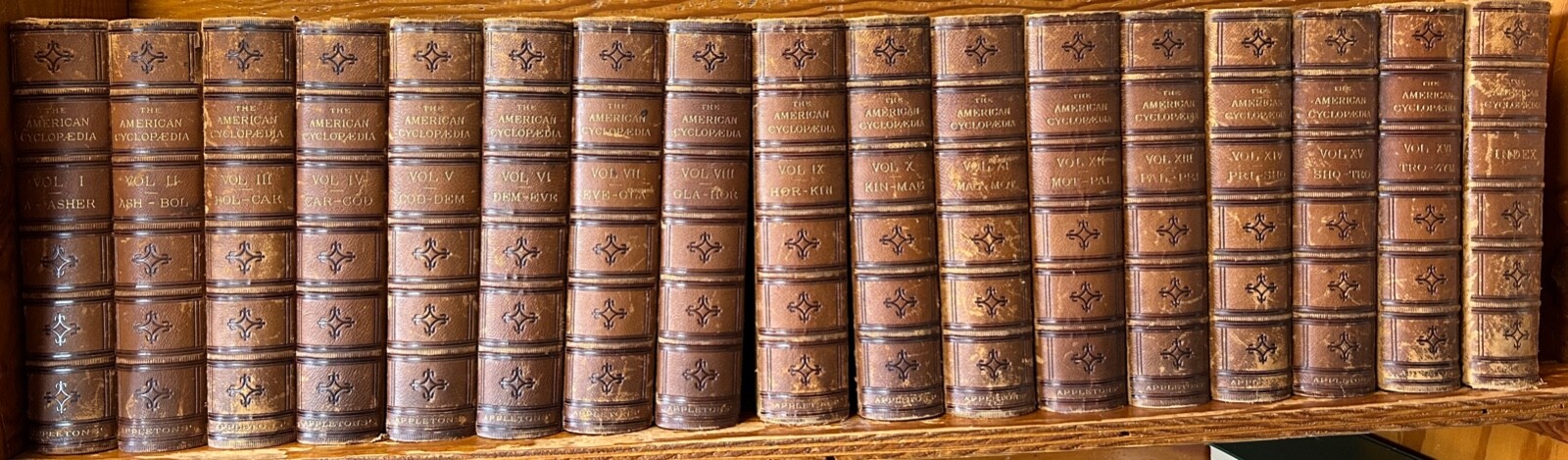 1883 Ed. 17 volume set APPLETON'S "AMERICAN CYCLOPEDIA of GENERAL ...