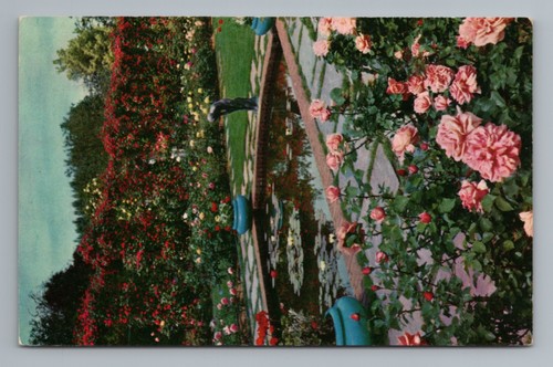 Space Needle Stamp Lambert Gardens Portland Oregon Postcard | eBay