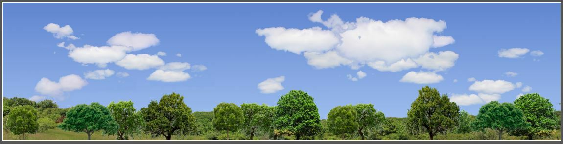 TRACKSIDE BACKDROP #671 Trees and sky O Scale | eBay
