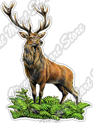 Red Deer Stag Hunting Hunter Animal Wild Car Bumper Vinyl Sticker Decal ...