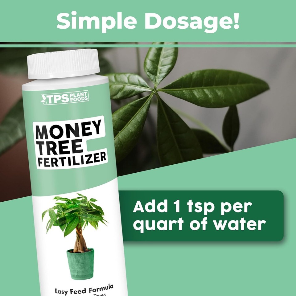 Money Tree Fertilizer for Money Trees and All Pachira Plants, Liquid ...