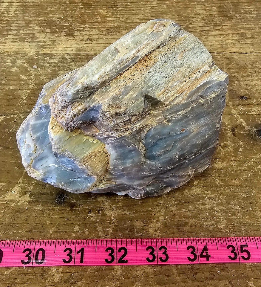 Arizona Rainbow Petrified Wood 2.53 lbs! Detailed! Agatized Colorful ...