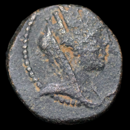 Ancient Greek Seleucid coin. Antioch,7 - 6 BC. Æ 16 mm 4,39gr. Tyche ...
