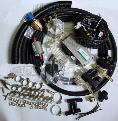 Propane LPG Gas Conversion Kits F/V8 8 Cylinder Sequential Injection ...