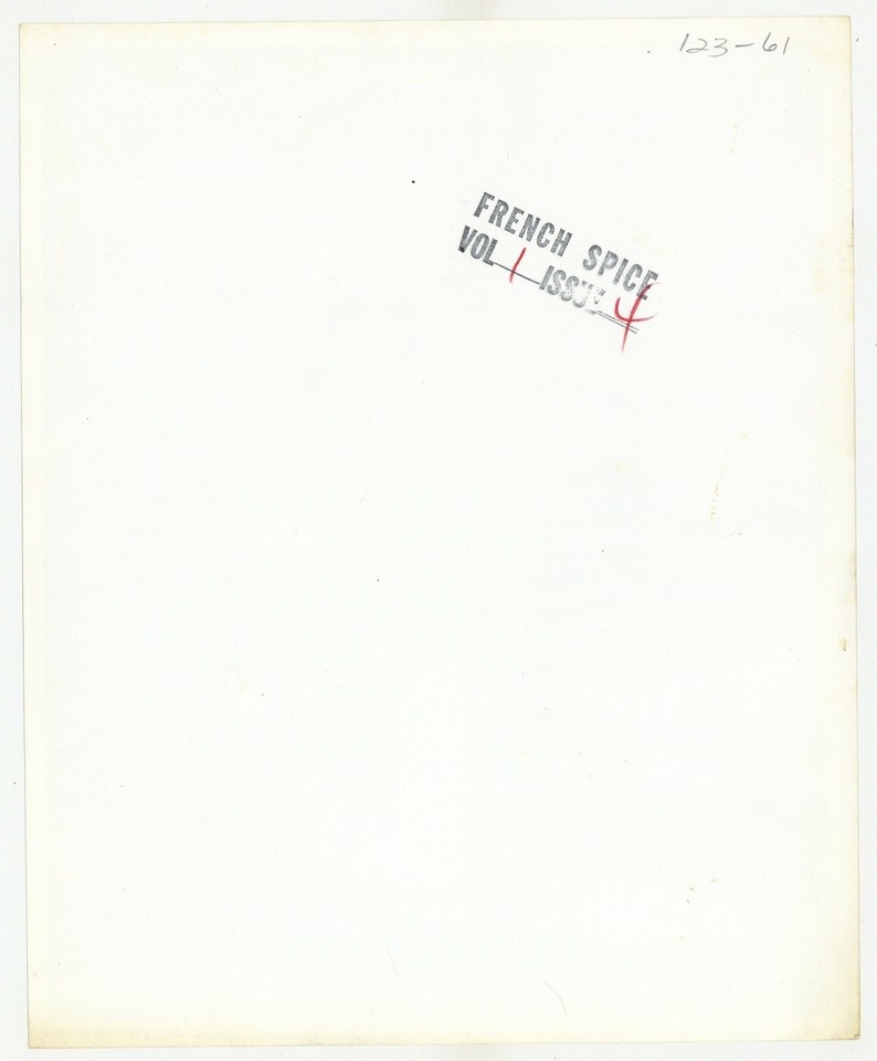 Leggy Brunette 1966 Original 8x10 Photo Parliament Legs Stockings ...