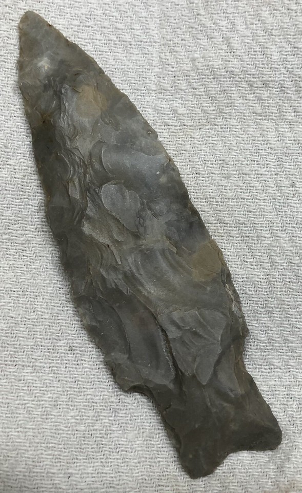 Darl Point arrowhead Texas Ancient Authentic Native American Artifact ...