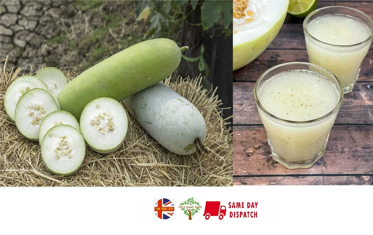 Health Benefits Of Boodu Kumbalakai (Ash Gourd), 44% OFF