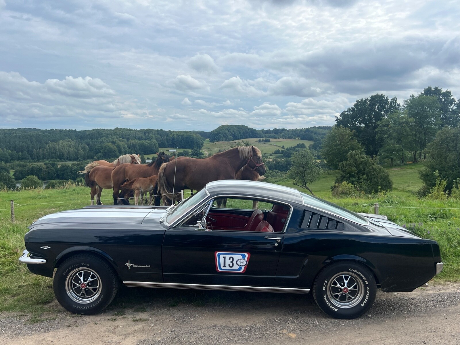 1965 Ford Mustang Fastback V8 Fully Restored - UK American Cars