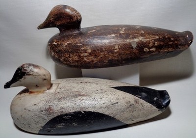 BIG Pair eider duck decoys attributed to Milton Crowley Addison, Maine ...