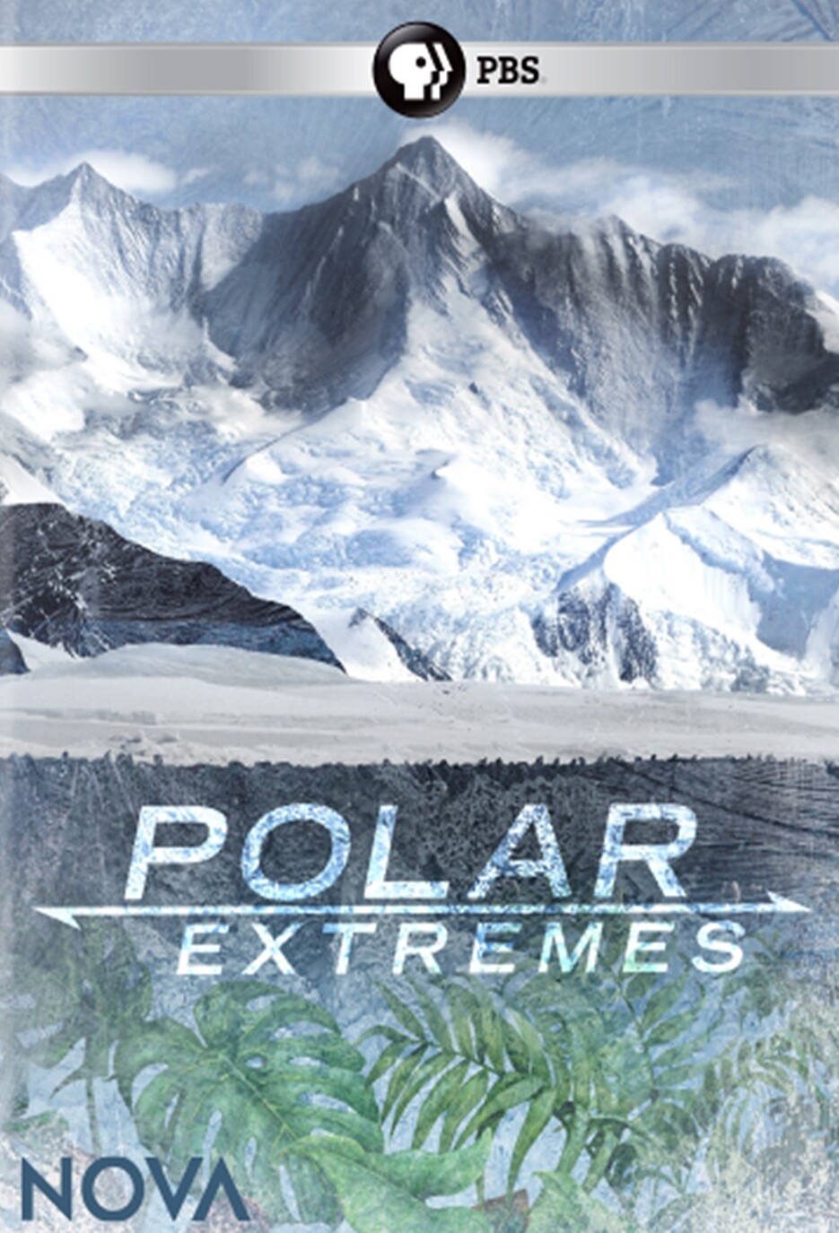 NOVA: Polar Extremes (DVD, 2020) for sale online | eBay