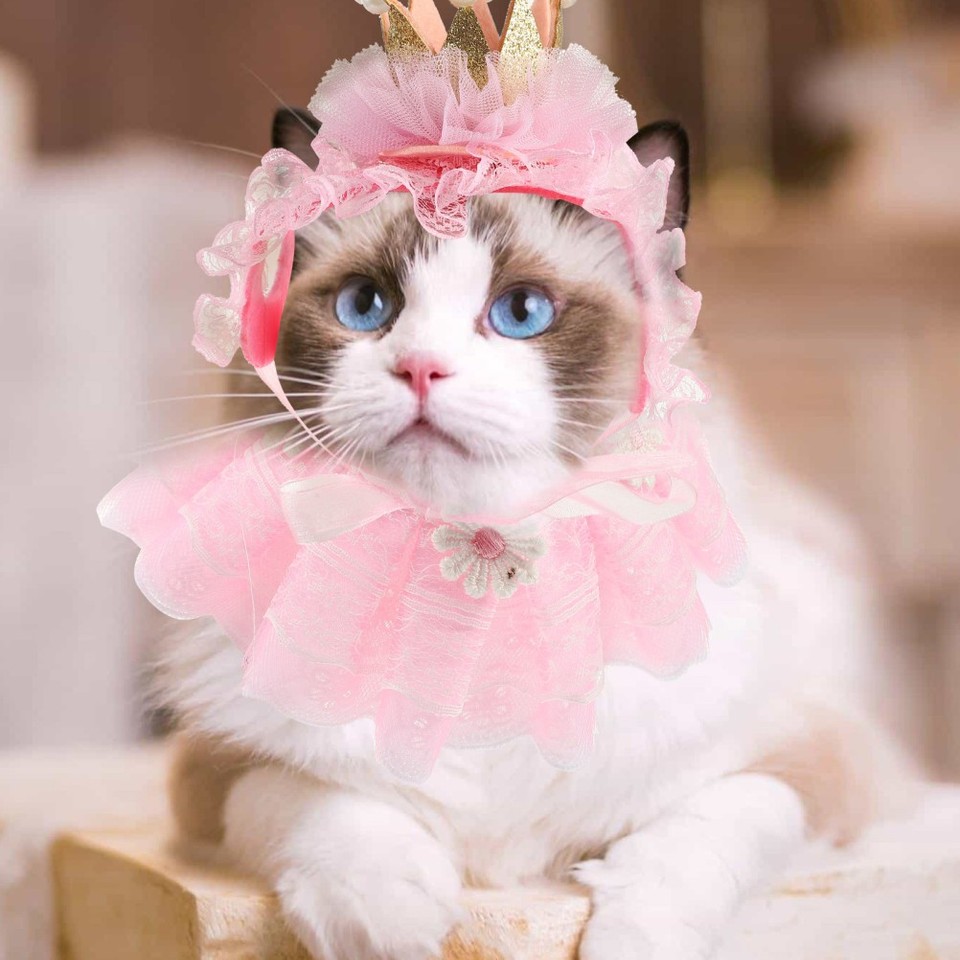 1 Set Princess Cosplay Crown and Collar for Puppy Cat Pet Neck Ornament ...