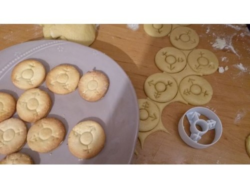 Transgender Cookie Pastry Biscuit Cutter Icing Fondant Baking Clay ...