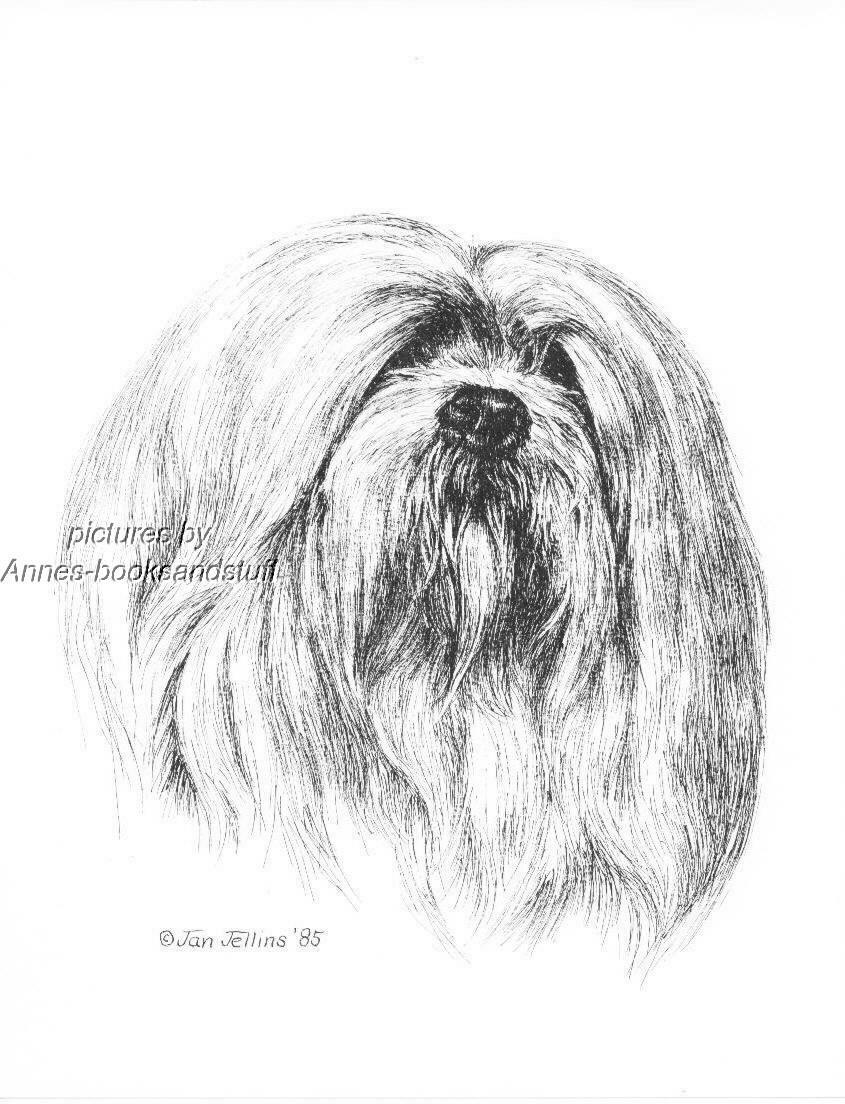 Lhasa Apso Coloring Pages A Cute And Funny Coloring Page Of A Lhasa