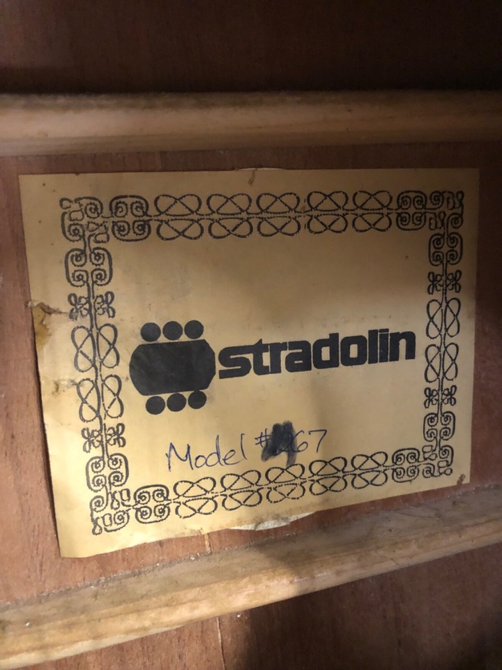 Cool Stradolin Acoustic Dove style Guitar - USED - A Must Have! Sounds ...