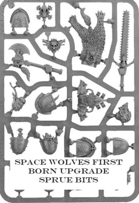 Warhammer 40k SPACE WOLVES First Born Upgrade Sprue BITZ Multi Listing ...