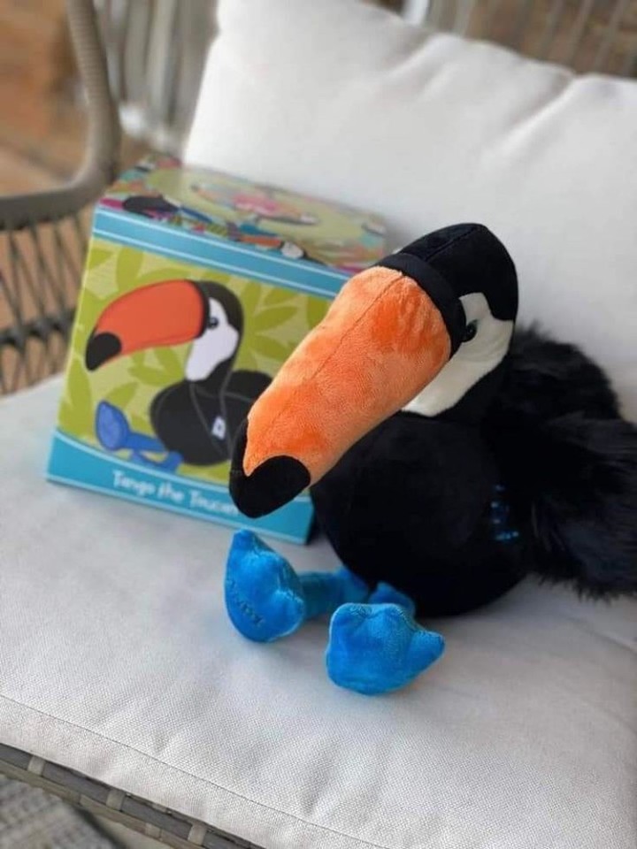 SCENTSY BUDDY & Clips Sidekick BITTY BUDDIES Scent pak & WAX DISNEY ...