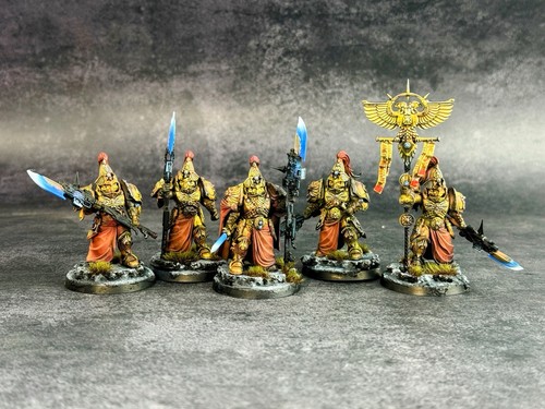 Warhammer 40k Adeptus Custodes Custodian Wardens NMM Painted | eBay