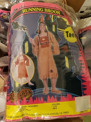 California Costumes Running Brook (Tan) Indian Teen Costume | eBay