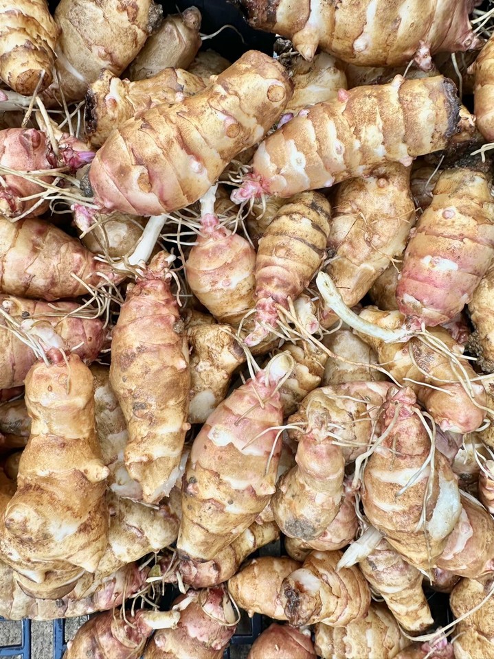 Organic Sunchoke / Jerusalem Artichoke - Individual Tubers For Planting | eBay
