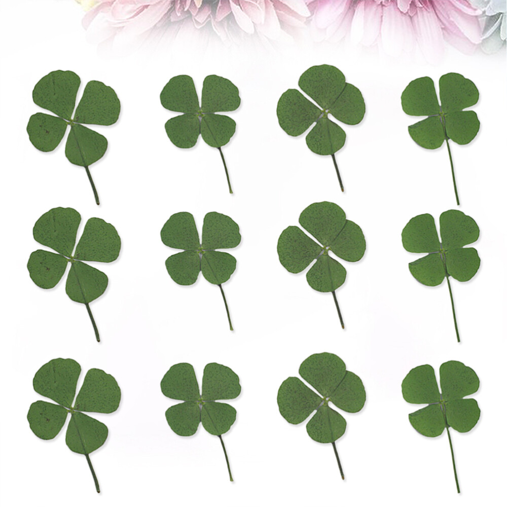 12 Pcs Real Pressed Dried Flowers Decorative Dry Leaves Natural ...