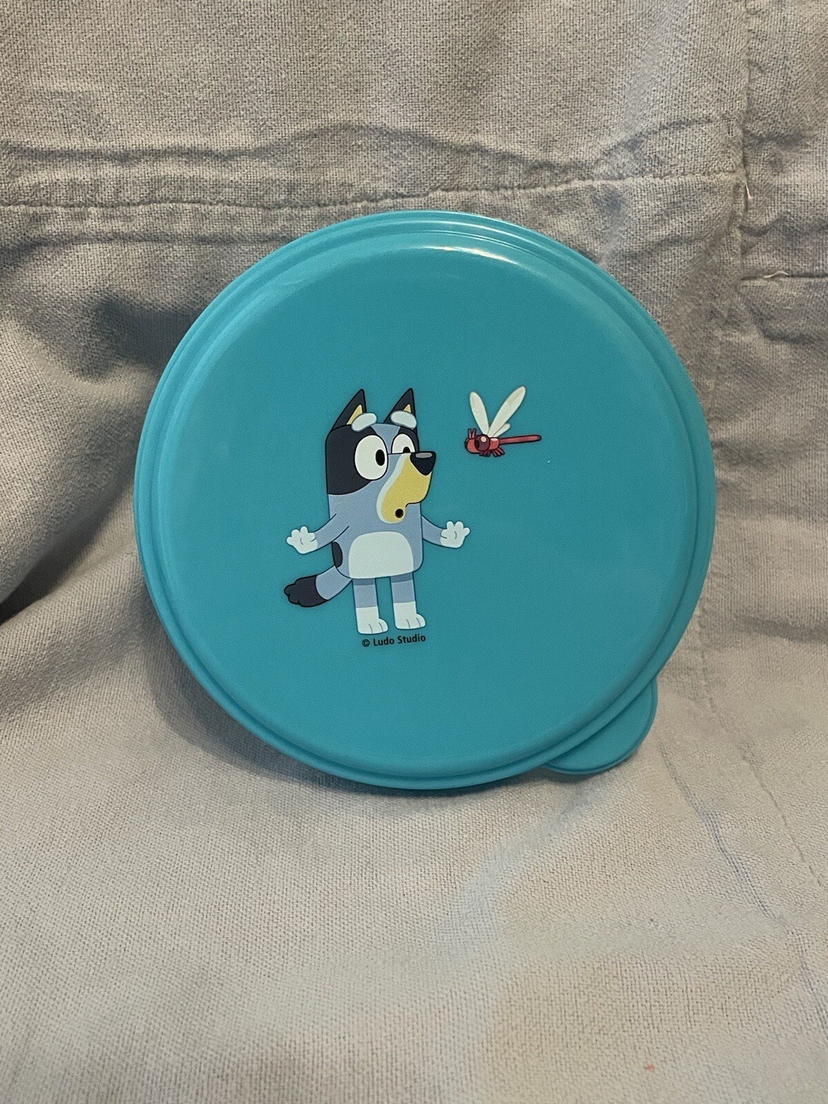 NEW Set of 4 Disney Bluey Water Bottles Bowl & Container Bluey Bingo ...