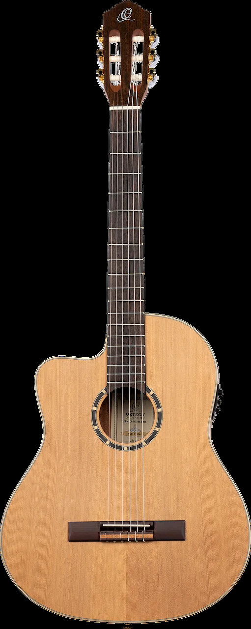 Family Series Pro Left-Handed Solid Top Slim Neck Acoustic-Electric ...