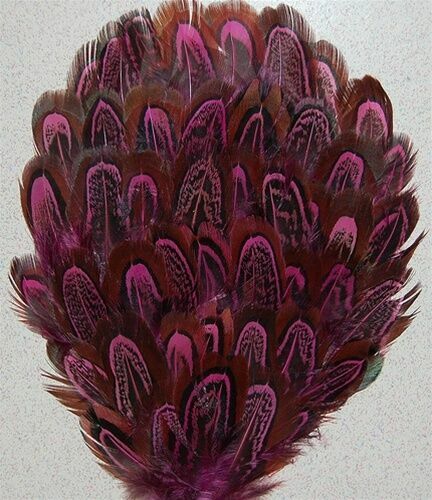 DYED PHEASANT FEATHER PAD - VARIOUS COLORS Headbands/Beads /Hats ...