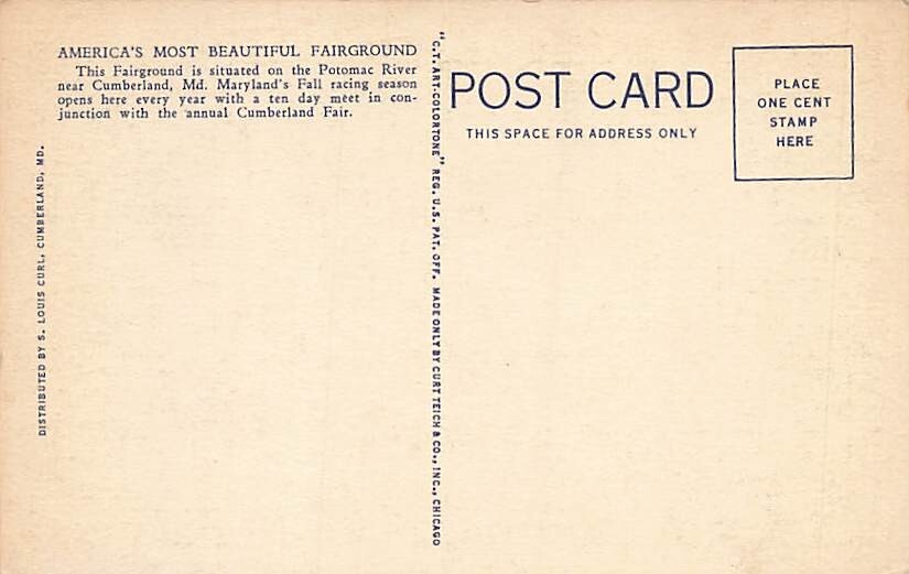 Postcard Fairground and Race Track Cumberland Maryland | eBay