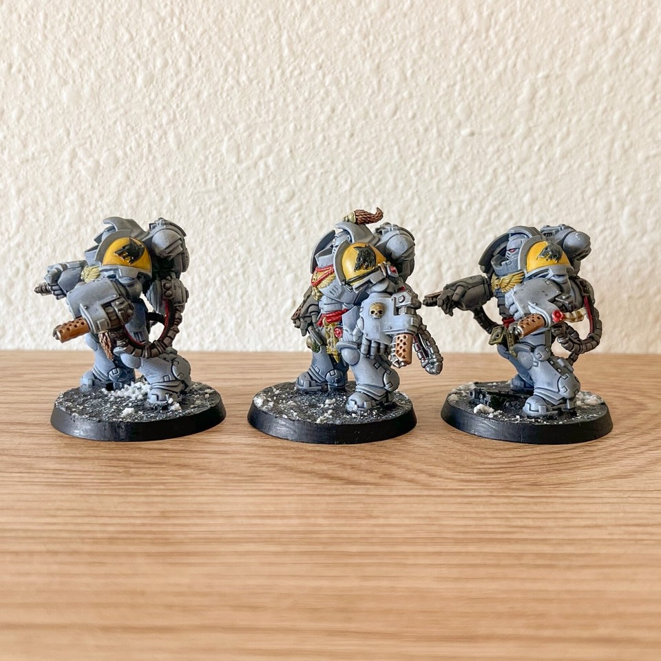 Warhammer 40k Primaris Marines - Painted Space Wolves Army - (242) | eBay